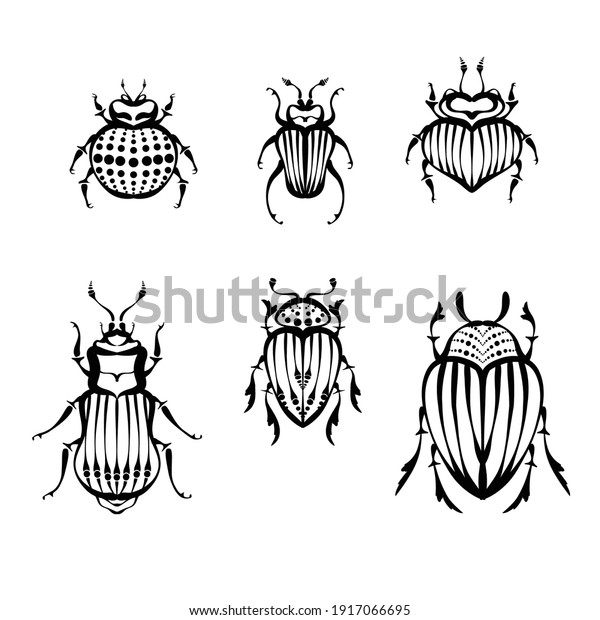 Insect Drawings Line Art Drawings Isolated: เวกเตอร์สต็อก (ปลอดค่า ...