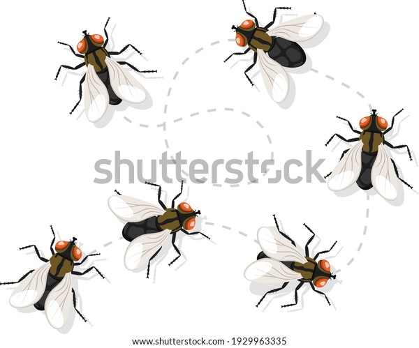 Insect Fly Moves Along Route On Stock Vector (Royalty Free) 1929963335 ...