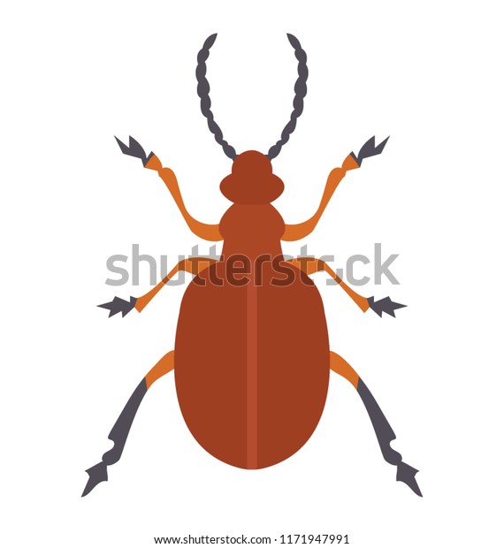 Insect Having Legs Depicting Beetle Stock Vector (Royalty Free) 1171947991