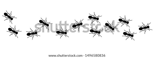 Inseto Insetos formigas formigas emmet pismire: vetor stock (livre de ...