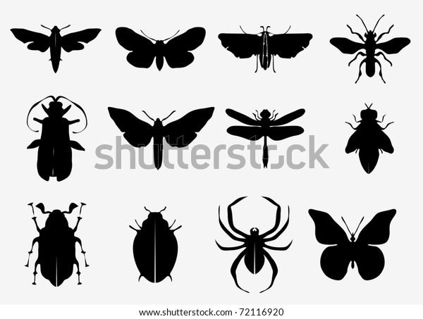 Insect Silhouettes Stock Vector (Royalty Free) 72116920