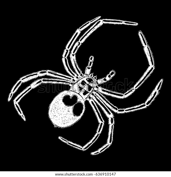 Insect Stipple Drawing Halloween Decorative Spider Stock Vector ...