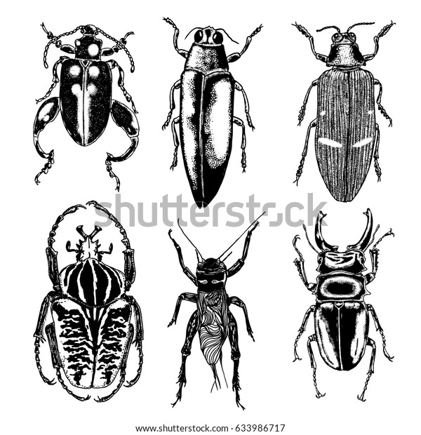 Insect Stipple Drawing Set Isolated Insects Stock Vector (Royalty Free ...