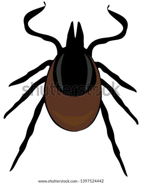 Insect Tick Symbol Isolated White Background Stock Vector (Royalty Free ...