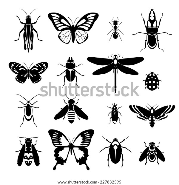 Insects Black White Decorative Icons Set Stock Vector (Royalty Free ... Insects Black White Decorative Icons Set Stock Vector (Royalty Free ...