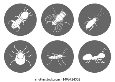 210 Flying termite Stock Illustrations, Images & Vectors | Shutterstock