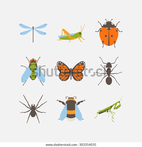 Insects Icons Set Collection Flat Vector : image vectorielle de stock ...