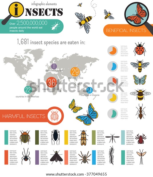 Insects Infographic Template Vector Illustration Stock Vector (Royalty ...