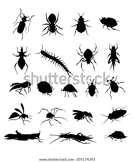 Insects Silhouette Set Stock Vector (Royalty Free) 305174243 | Shutterstock