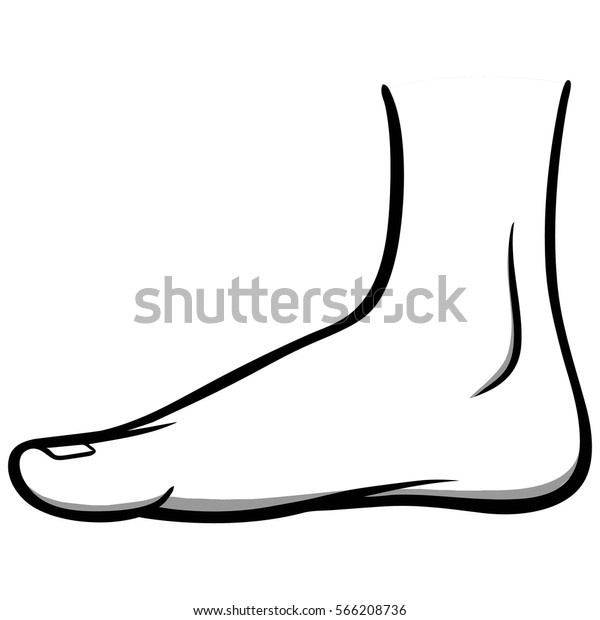 Inside Foot Illustration Stock Vector (Royalty Free) 566208736 ...