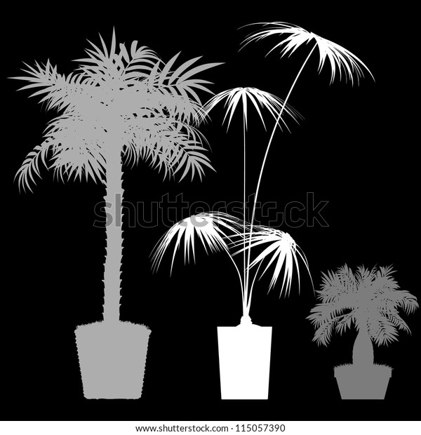 Interior Palm Trees Design Detailed Vector Stock Vector (Royalty Free ...