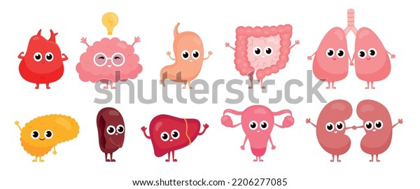 Internal Organs Characters Cartoon Healthy Human Stock Vector (Royalty ...