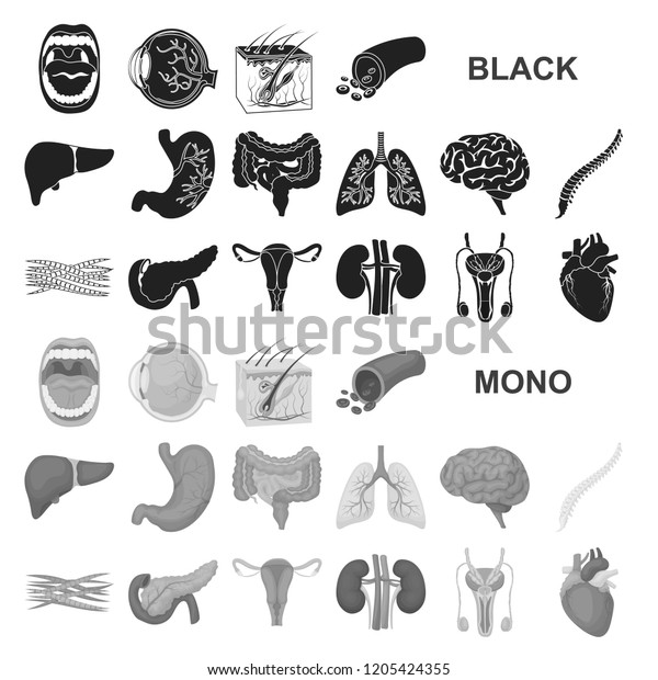 Internal Organs Human Black Icons Set Stock Vector (Royalty Free ...
