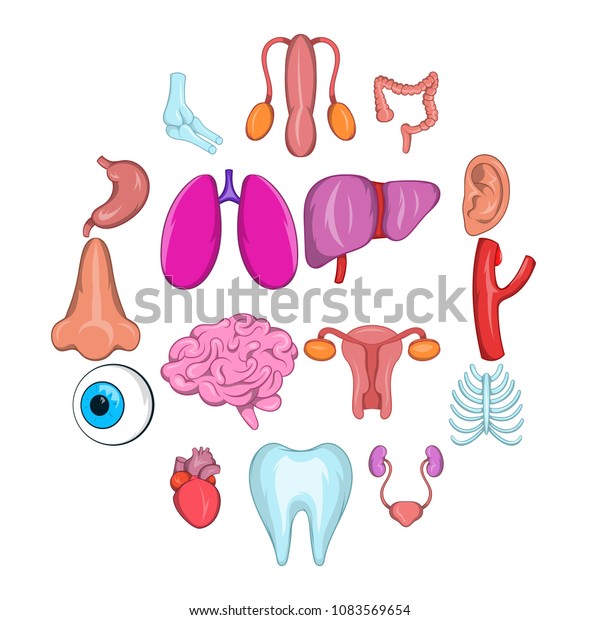 Internal Organs Icon Set Cartoon Style Stock Vector (Royalty Free ...
