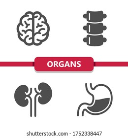 Internal Organs Icons Professional Pixel Perfect Stock Vector (Royalty ...