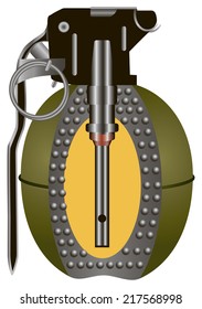 Internal Structure Antipersonnel Hand Grenade Vector Stock Vector ...
