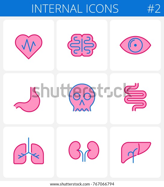 Internals Outline Color Icon Set Vector Stock Vector (Royalty Free ...
