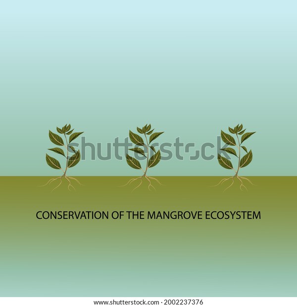 International Day Conservation Mangrove Ecosystem Web เวกเตอร์สต็อก