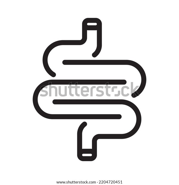 Intestine Icon Outline Style Vector Isolate Stock Vector (Royalty Free ...