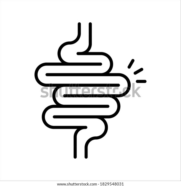 Intestines Icon Vector Digestion System Symbol Stock Vector (Royalty ...