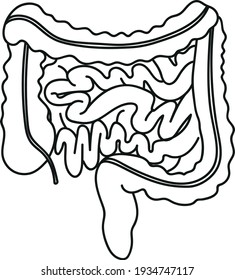 243 Sketch large intestine Images, Stock Photos & Vectors | Shutterstock
