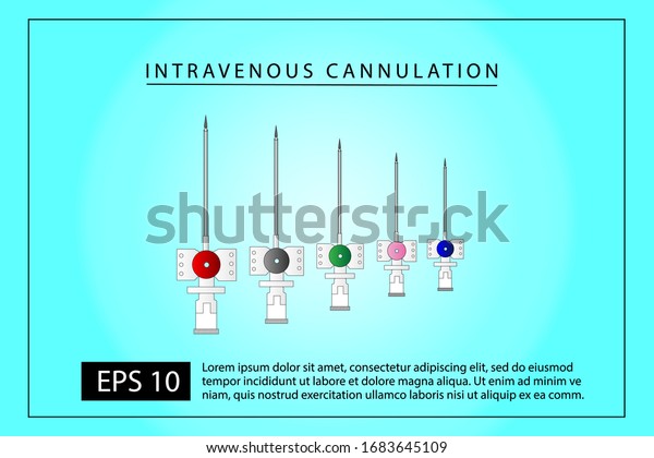 Intravenous Cannula Branula Vector Icon Set Stock Vector (Royalty Free ...