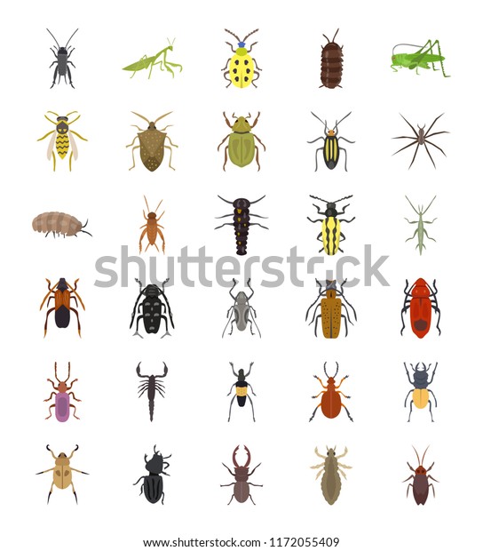 Invertebrates Flat Icons Set Stock Vector (Royalty Free) 1172055409 ...