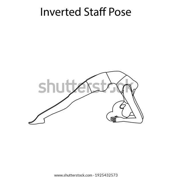 Inverted Staff Pose Yoga Workout Outline Stock Vector (Royalty Free ...