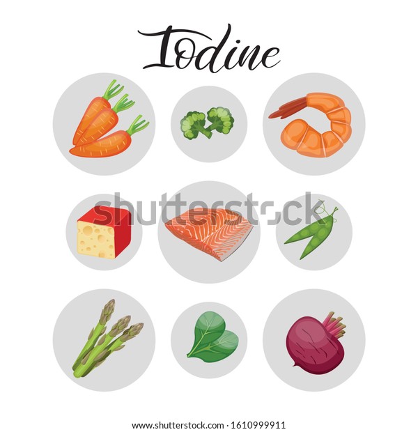 Iodine Food Vector Illustration Set Thyroid Stock Vector (Royalty Free ...