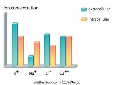 Ion Density Graph Some Chemicals Stock Vector (Royalty Free) 1289896450 ...