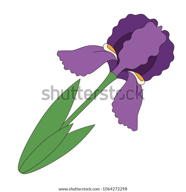 Iris Flower Cartoon Outlined Illustration Thin Stock Vector (Royalty ...