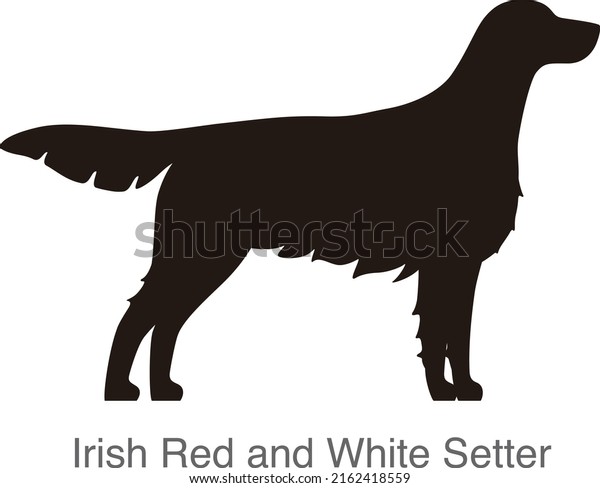 37 Red Setter Color Art Images, Stock Photos & Vectors | Shutterstock