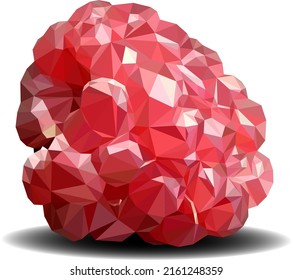 4,190 Polygon berry Images, Stock Photos & Vectors | Shutterstock