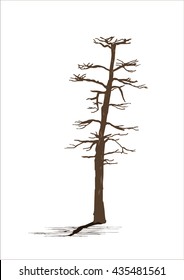 Isolated Dead Pine Tree Natural Sign Stock Vector (Royalty Free ...