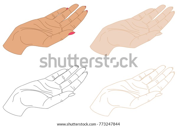 Isolated Female Hand Drawings Vector Illustration Stock Vector (Royalty ...