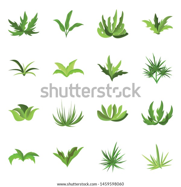 Isolated Object Garden Grass Symbol Collection Stock Vector (Royalty ...