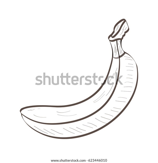 Isolated Outline Banana Vector Illustration Stock Vector (Royalty Free ...