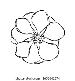 Set Simple Summer Flowers Drawings Abstract Stock Vector (Royalty Free ...