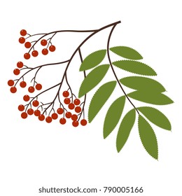 Holly Berry Vector Illustration Stock Vector (Royalty Free) 306044399