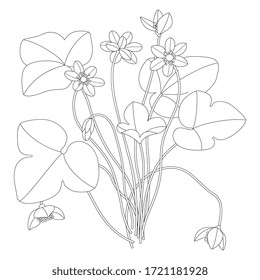 Liverleaf Stock Vectors, Images & Vector Art | Shutterstock