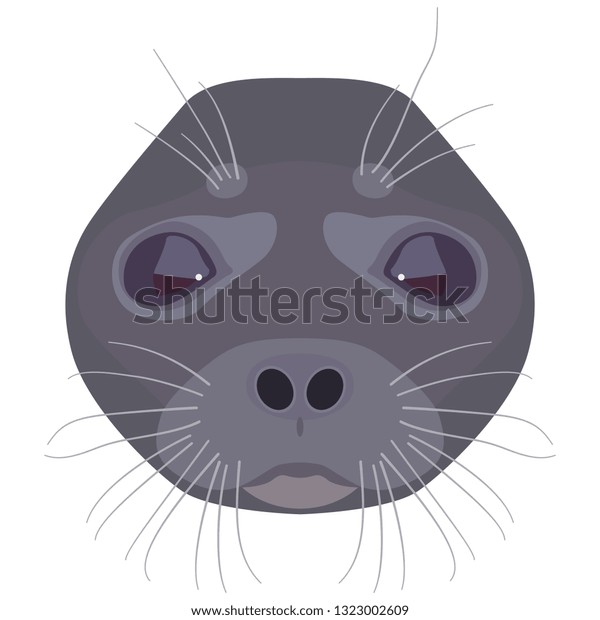 Isolated Vector Illustration Stylized Face Seal Stock Vector (Royalty ...