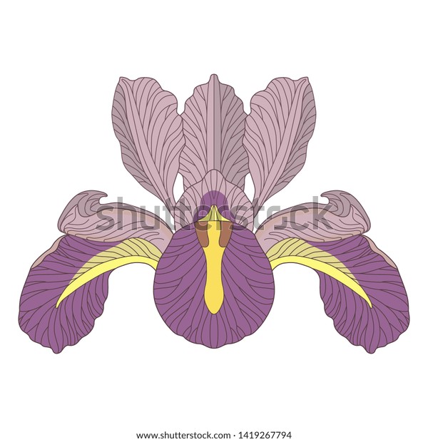 Isolated Vector Illustration Stylized Iris Flower Stock Vector (Royalty ...