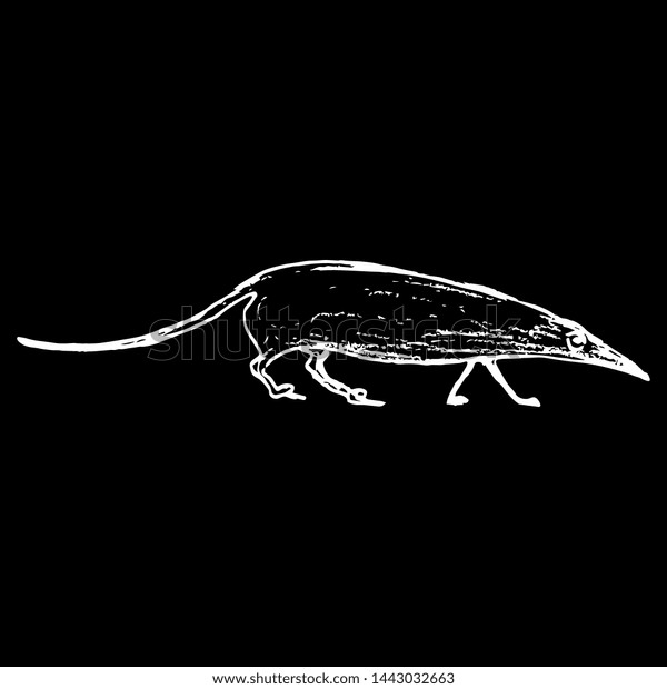 Isolated Vector Illustration Stylized Shrew Ancient Stock Vector ...
