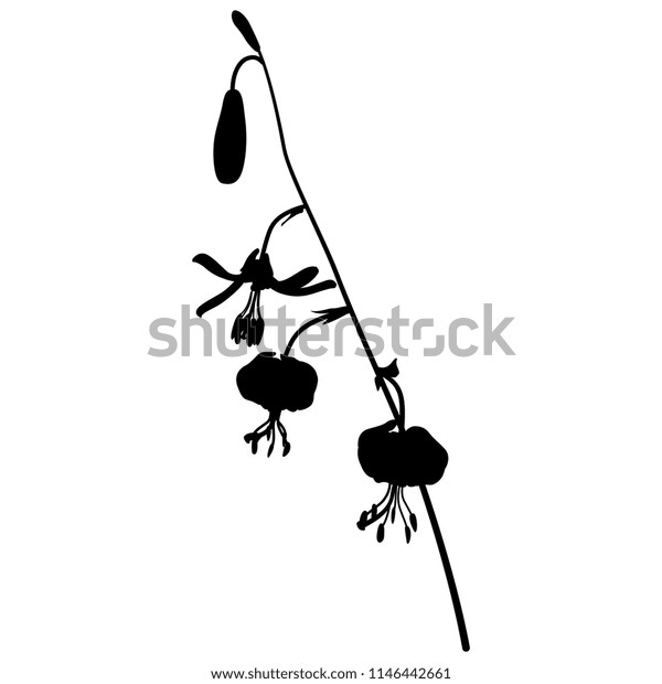 Isolated Vector Illustration Wild Flower Branch Stock Vector (Royalty ...