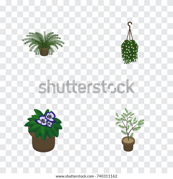 Isometric Flower Set Flowerpot Plant Blossom Stock Vector (Royalty Free ...