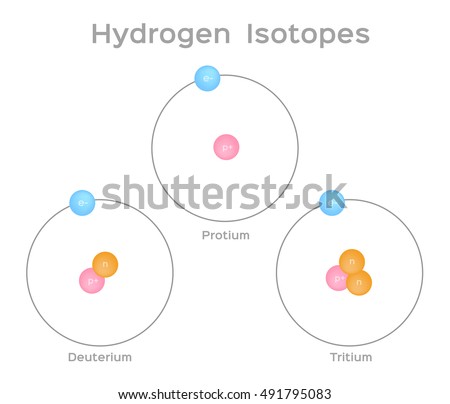Isotopes Hydrogen Protium Deuterium Tritium Diagram Stock Vector ...