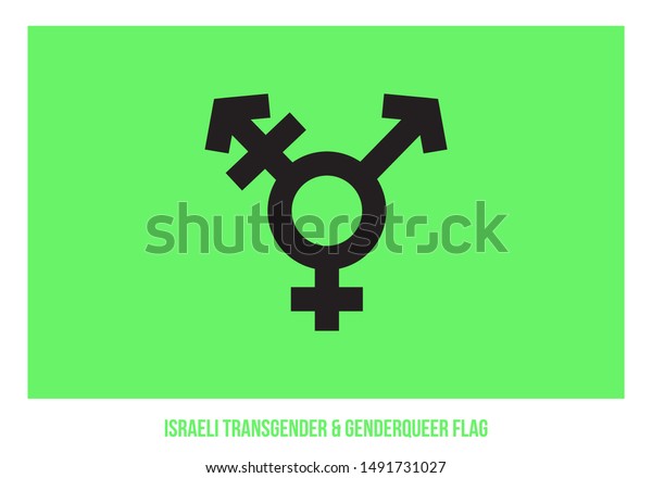 Israeli Transgender Genderqueer Flag Vector Illustration Stock Vector ...