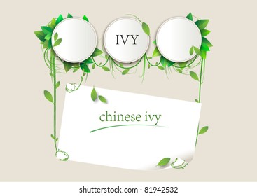 Ivy Card Stock Vector (Royalty Free) 81942532 | Shutterstock