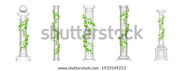 Ivy columns, antique pillars with green climbing liana plant leaves ... Ivy columns, antique pillars with green climbing liana plant leaves ...