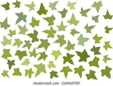 Ivy Leaf Set Collection Ivy Leaves Stock Vector (Royalty Free ...